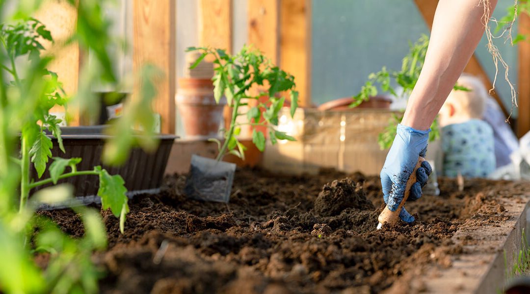 Basic Garden Maintenance - Platt Hill Nursery