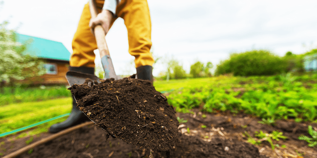 The Best Uses for Topsoil and Garden Soil - Platt Hill Nursery